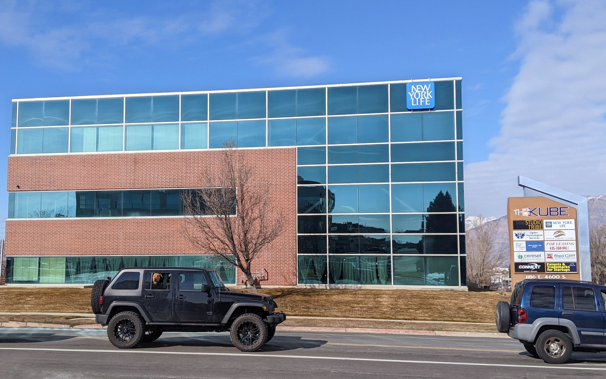 We help your brain help you. | Relax. Rebalance. Reset. | Harmony ...