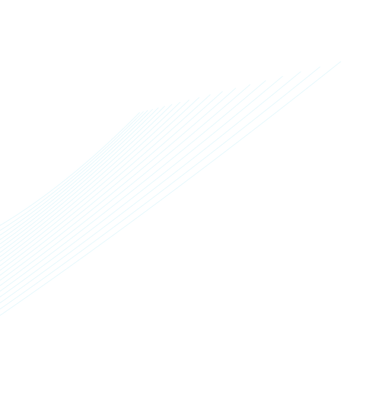 Lee Gerdes Foundation | CERESET