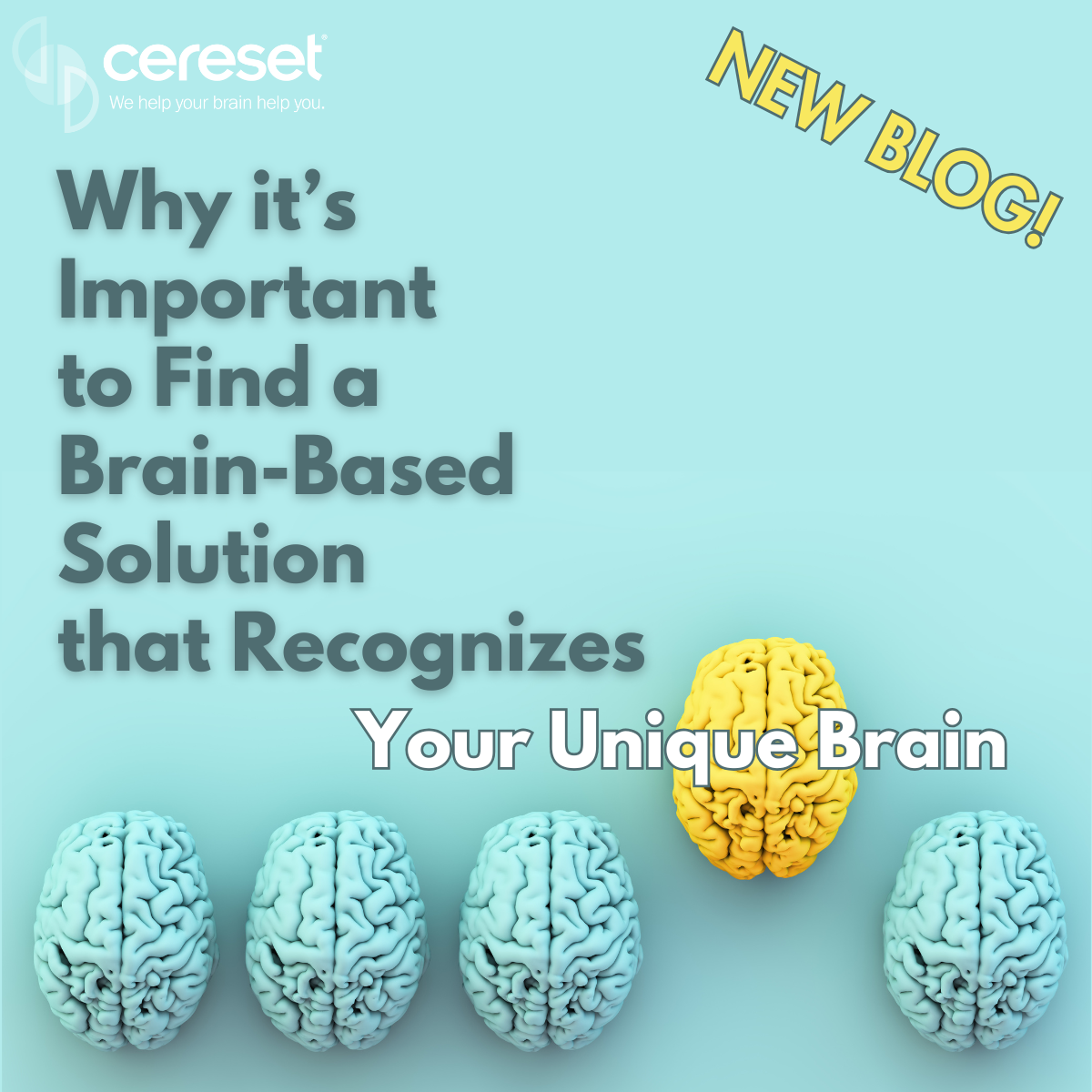 Why it is Important to Find a Brain-Based Solution that Recognizes Your Unique Brain | CERESET